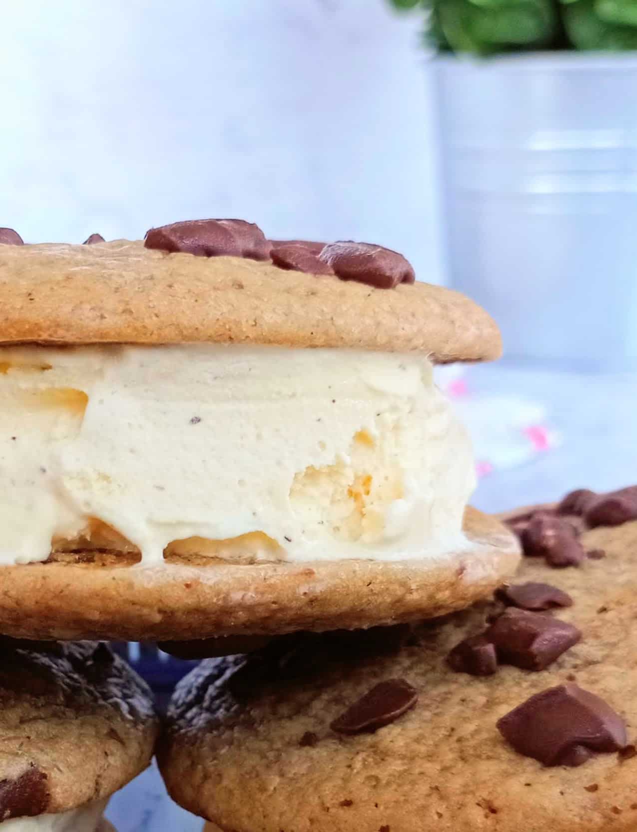 Las Mejores Galletas Para Sándwich de Helado (Ice Cream Sandwiches ...